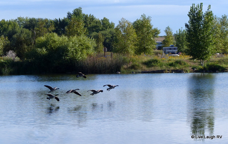 St. Vrain State Park – Live Laugh RV