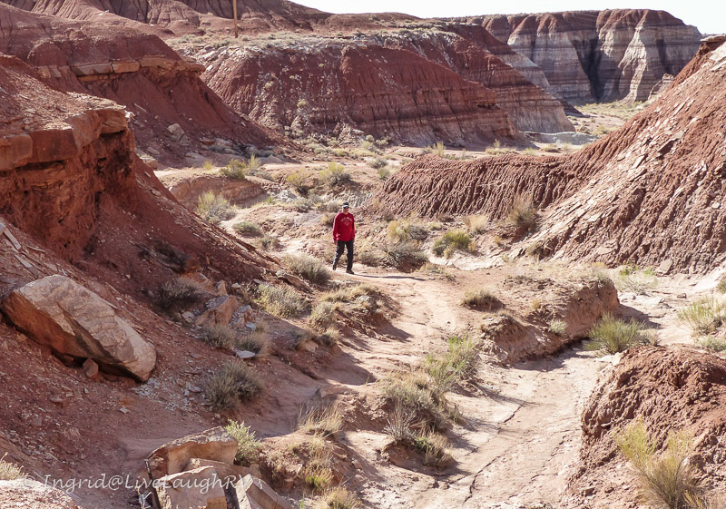 Toadstools and a Slot Canyon – Live Laugh RV