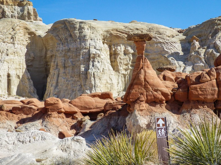Toadstools and a Slot Canyon – Live Laugh RV