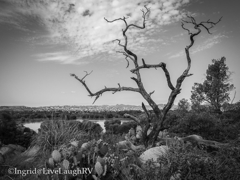 Theme – Black and White Photography – Live Laugh RV